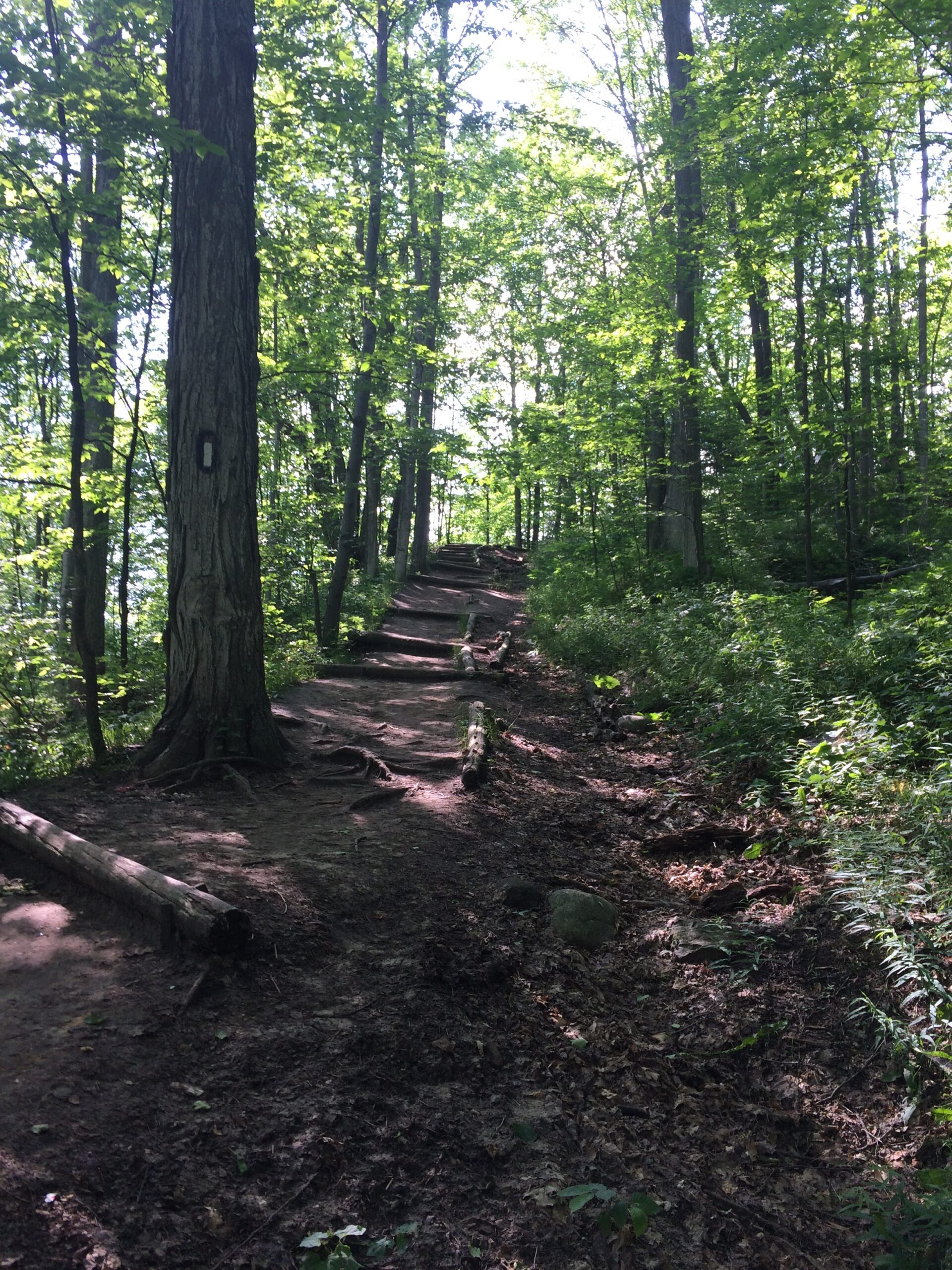 Ives Insurance 2021 Calendar June runner up photos! - Ives Insurance ...